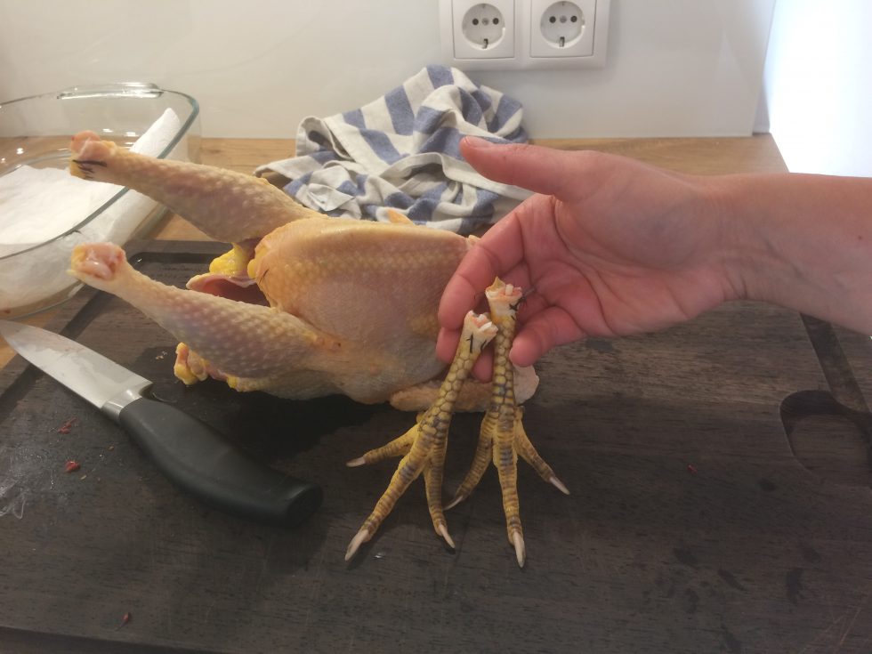 Die Hühner und der Tod: Hühner schlachten - Hühner Wissen